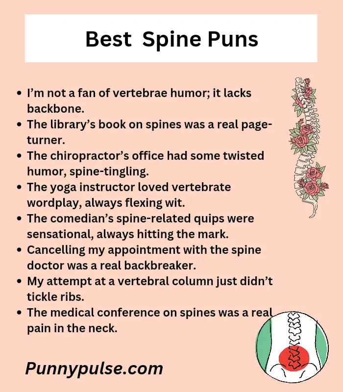 160+ Best Spine Puns That’ll Give You a Laugh on the Backbone