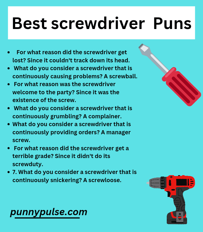 Turn the Fun: 218+ Twisting Screwdriver Puns