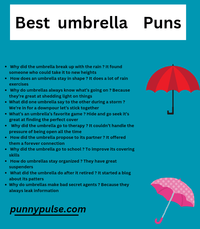 160+ Cute Umbrella Puns That Will Brighten Your Day