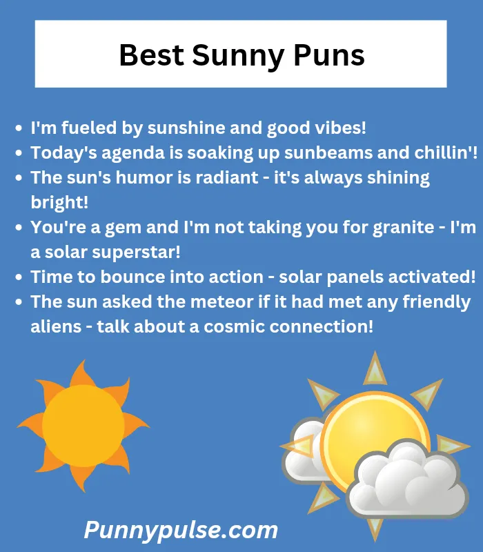 151+ Bright and Hilarious Sunny Puns to Light Up Your Day