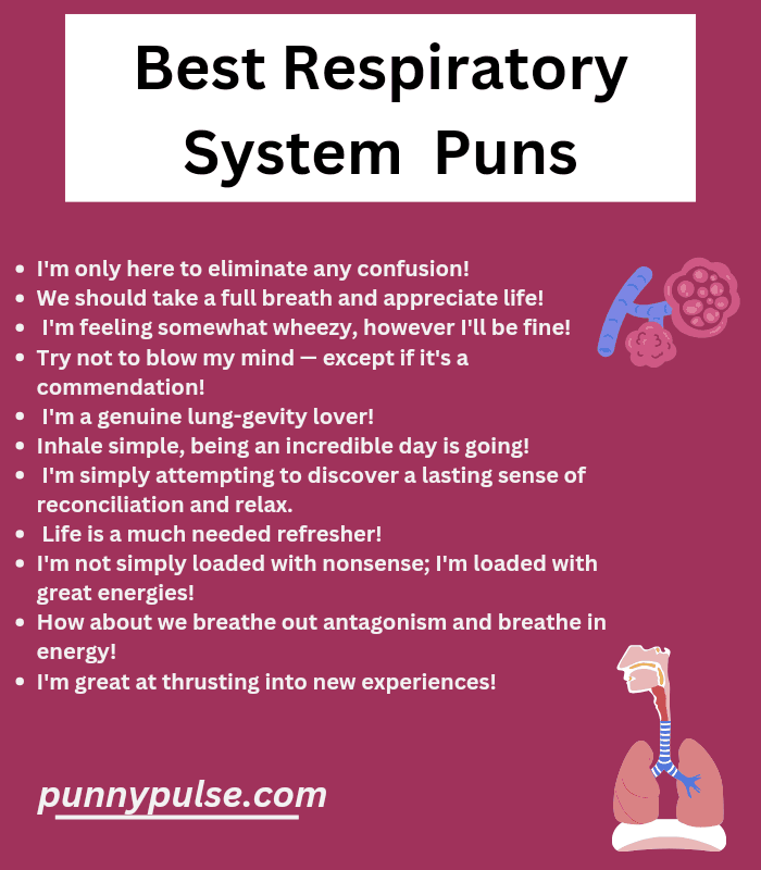 135+ Respiratory System Puns That’ll Leave You Gasping with Laughter