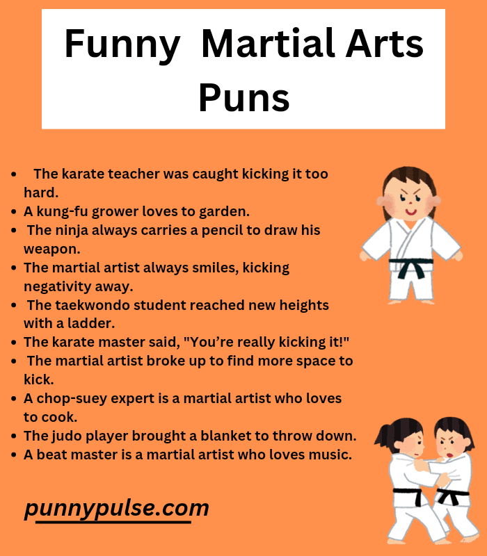 148+ Martial Arts Puns That Pack a Punch and Kick Up the Laughter ...
