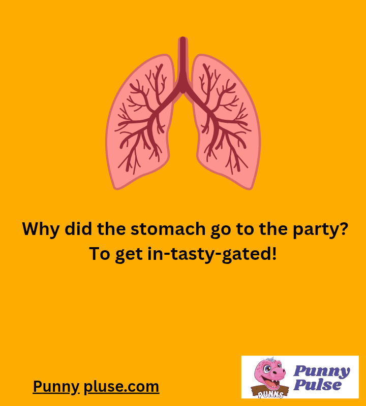 146+ Gut-Busting Digestive System Puns to Tickle Your Funny Bone