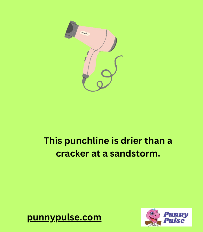 164+ Drier Than Jokes That Will Have You Laughing Through the Cracks