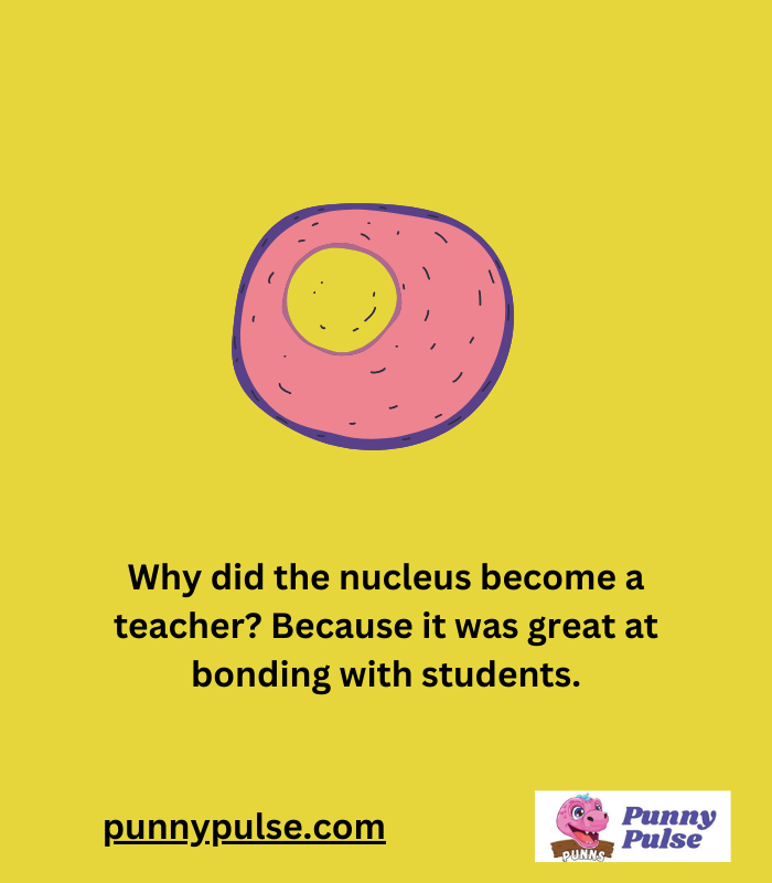 150+ Hilarious Nucleus Puns That’ll Keep You in Your Element of Laughter