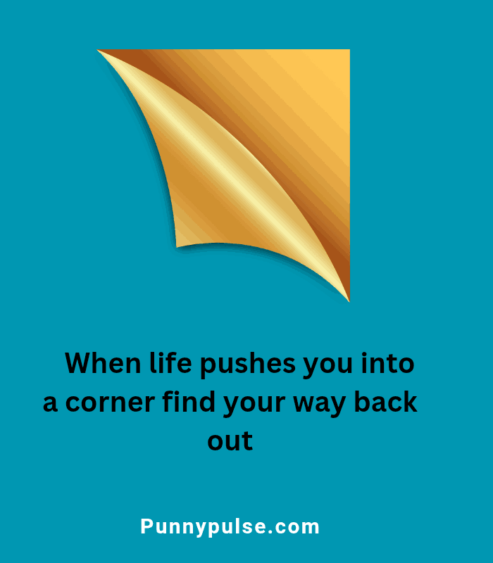 165+ Corner Puns The Funniest Way to Turn Your Day Around