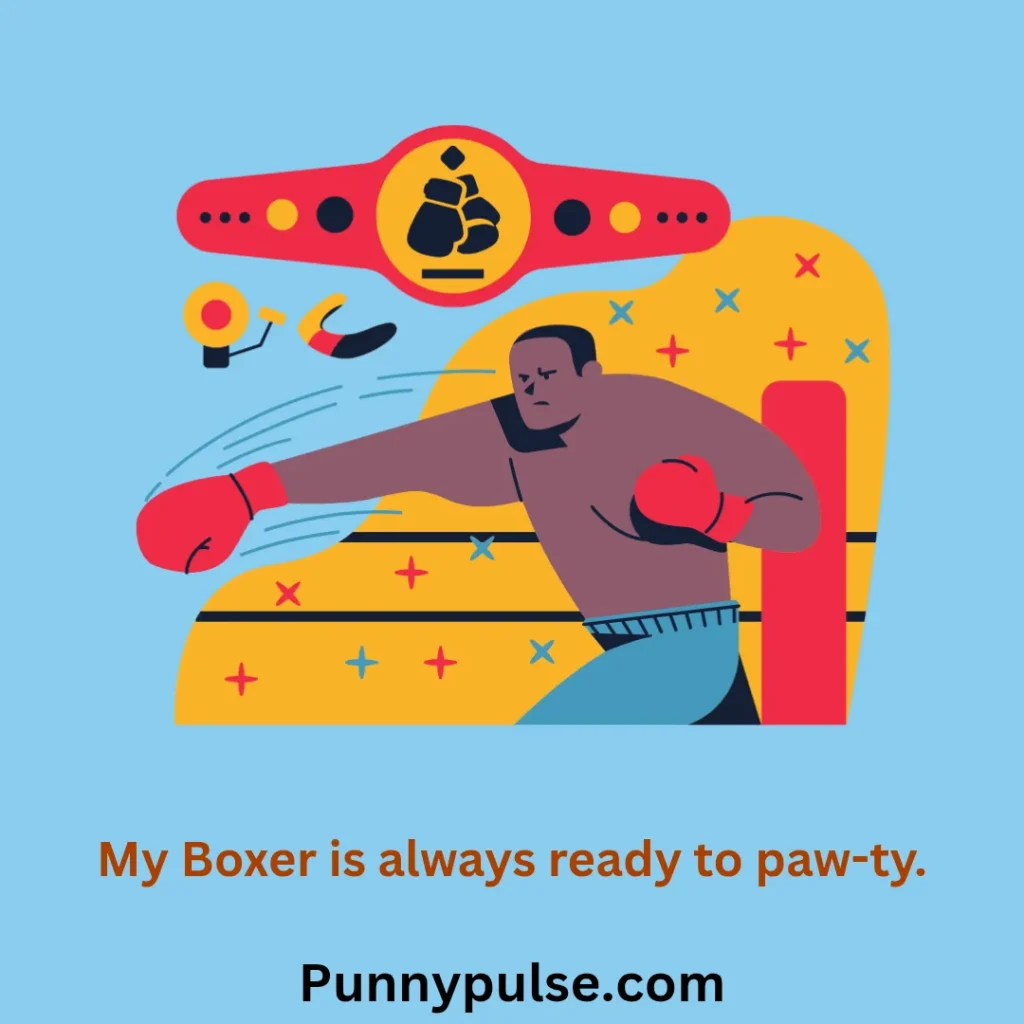 120+ Hilarious Boxer Puns That Land a Knockout of Laughter