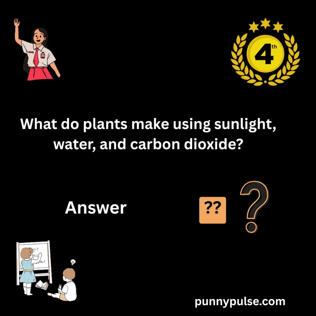 126+ 4th Grade Trivia Questions and Answers to Challenge Young Minds ...