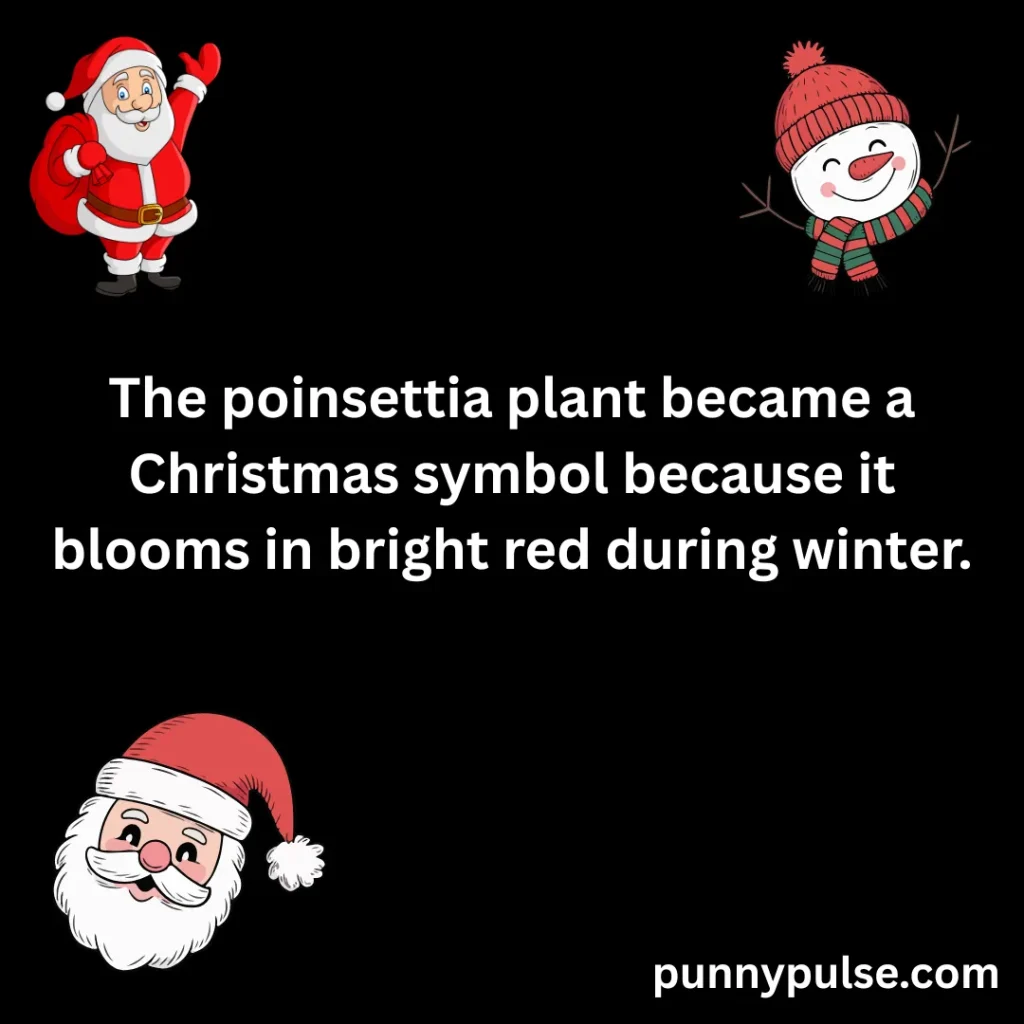 124+ Fun Facts About Christmas You Probably Didn’t Know (2025)