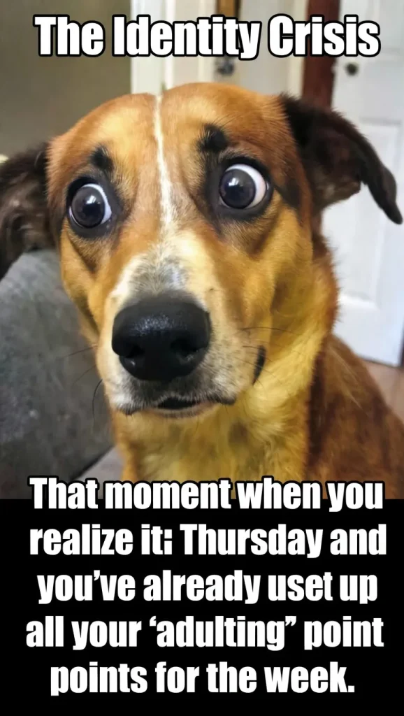 55 Funny Thursday Memes to Get You Through the Day (2026)